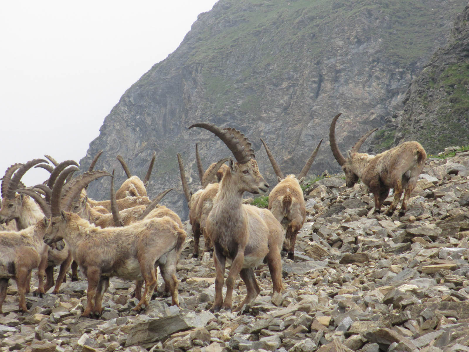 Attinghausen Tourismus - I Like Switzerland