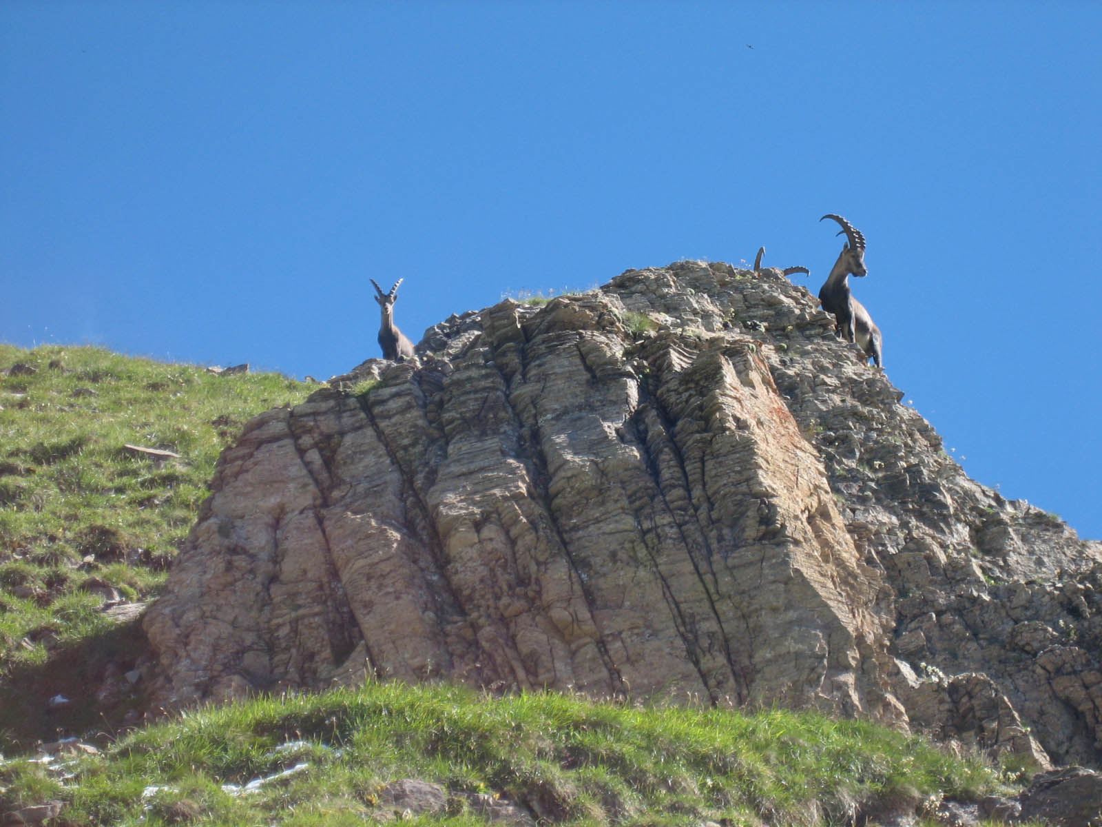 Attinghausen Tourismus - I Like Switzerland