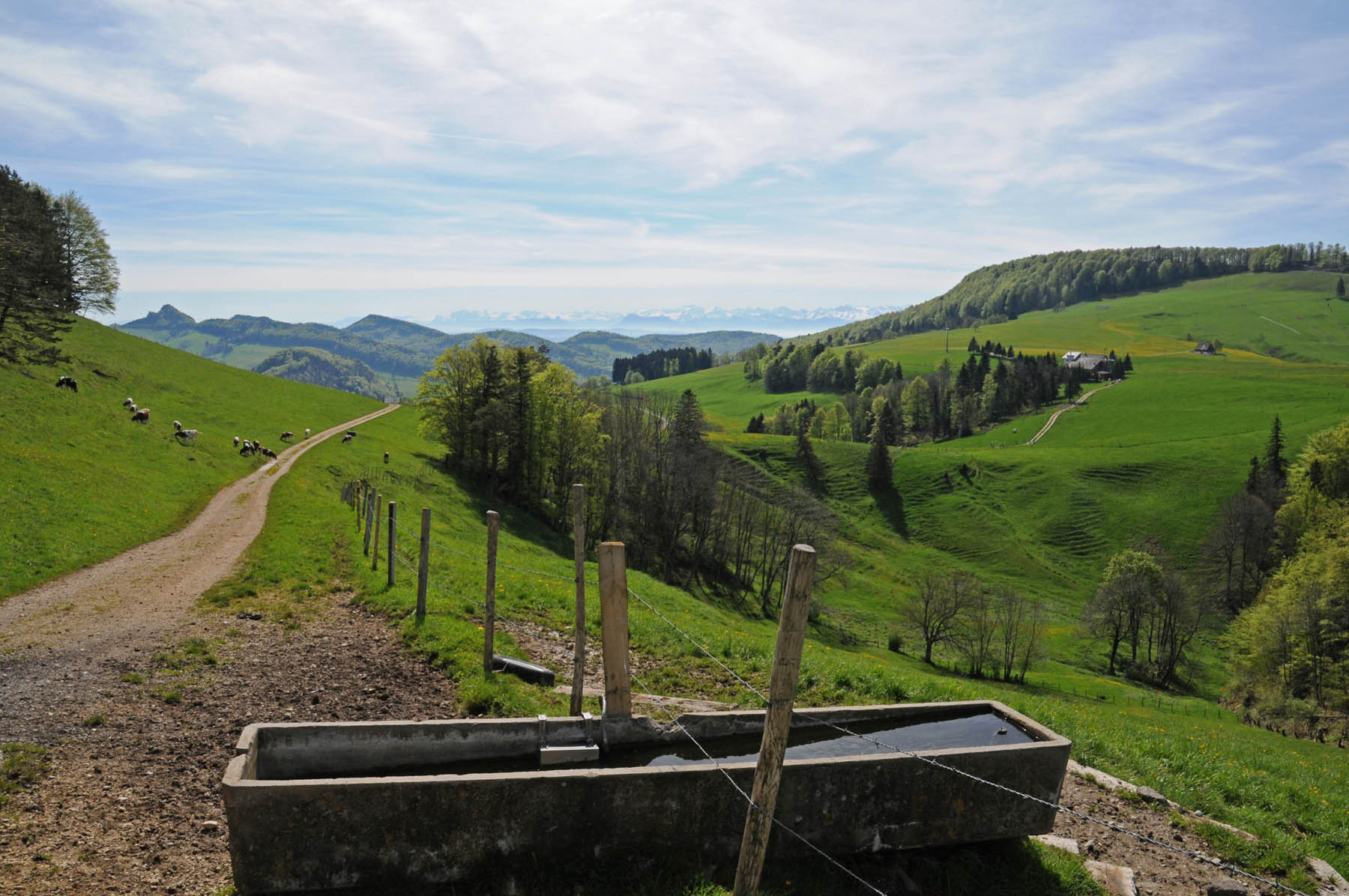 Baselland Tourismus - I Like Switzerland
