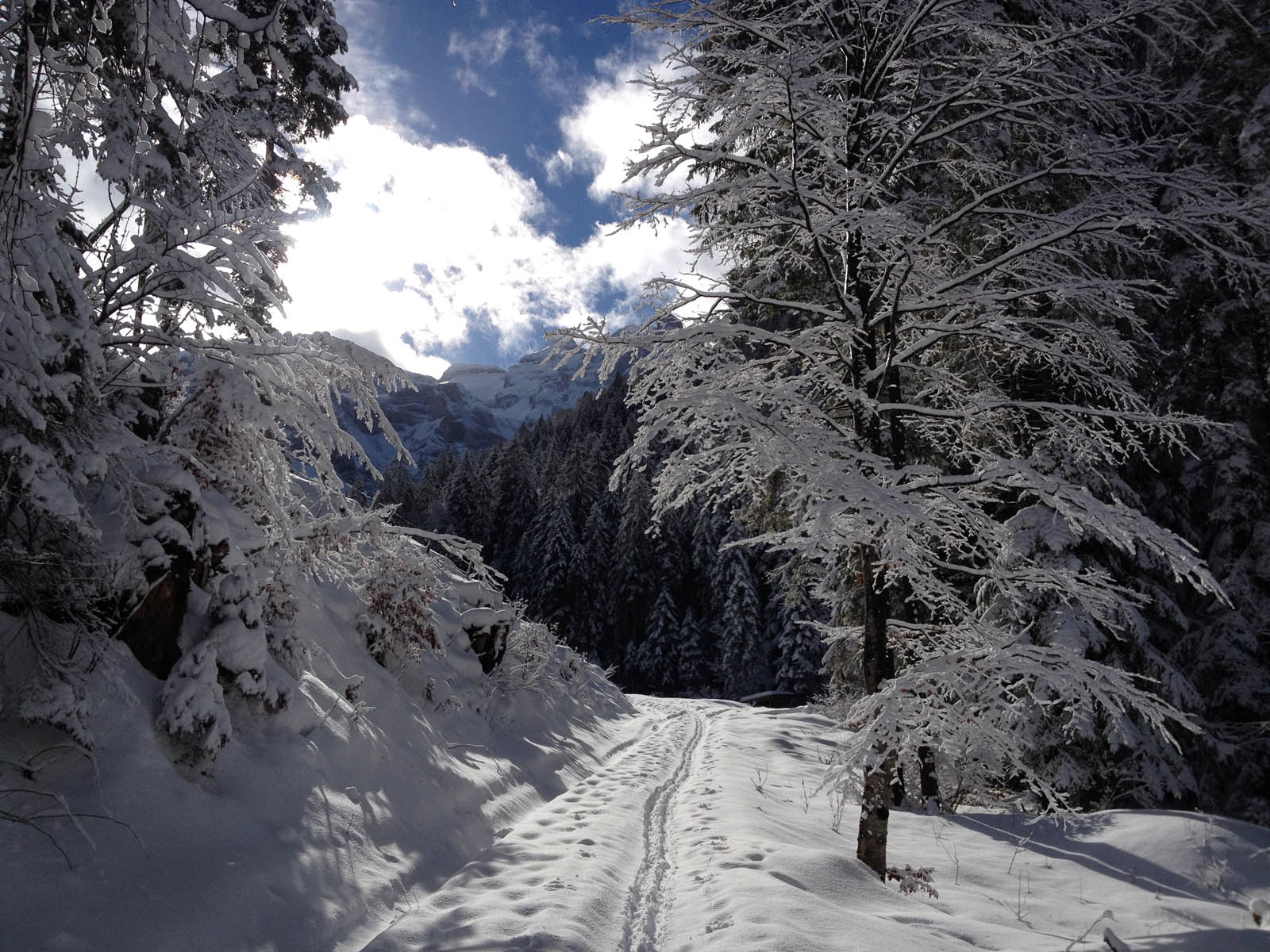 Isenthal Tourismus - I Like Switzerland