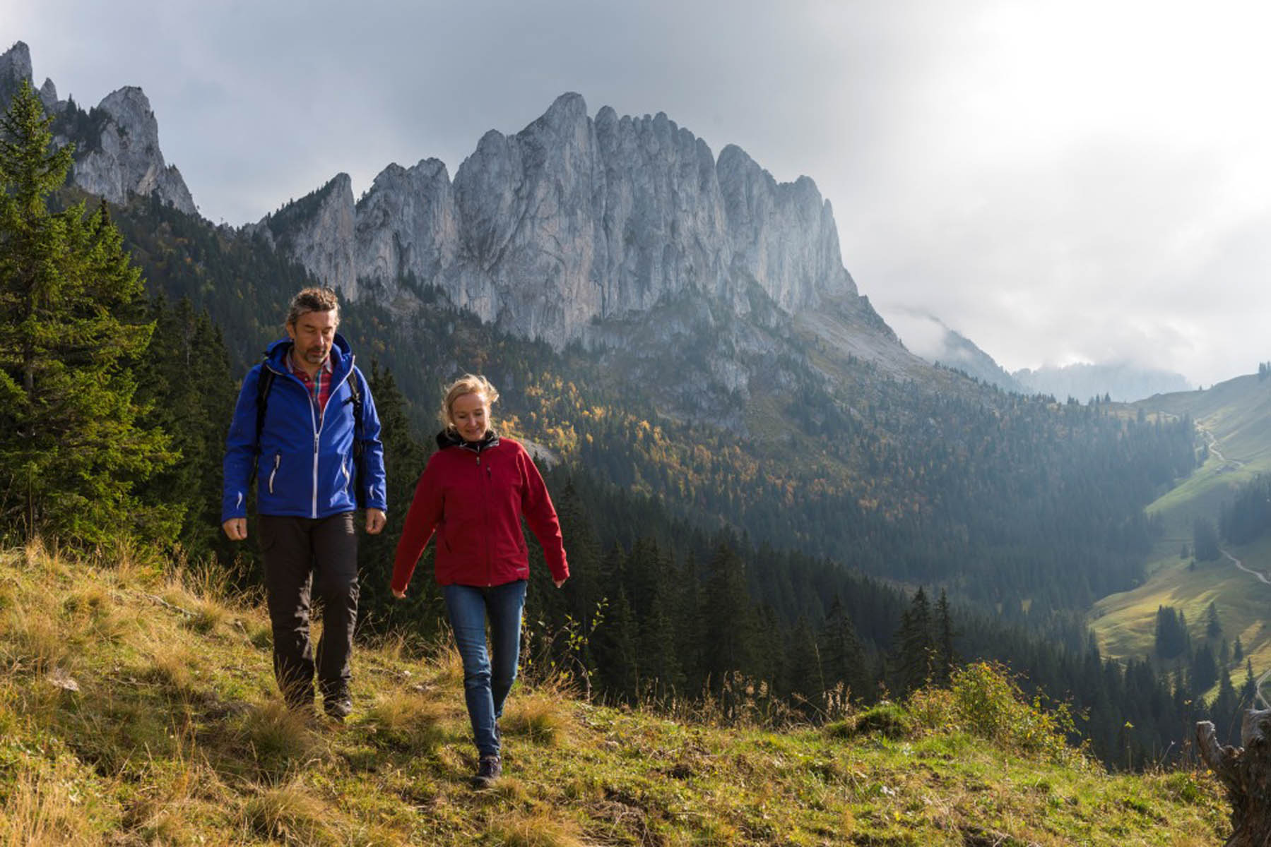 Jaun-Gastlosen Bergbahnen - I Like Switzerland