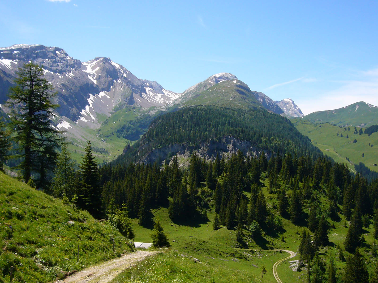 Lenk-Simmental Tourismus - I Like Switzerland