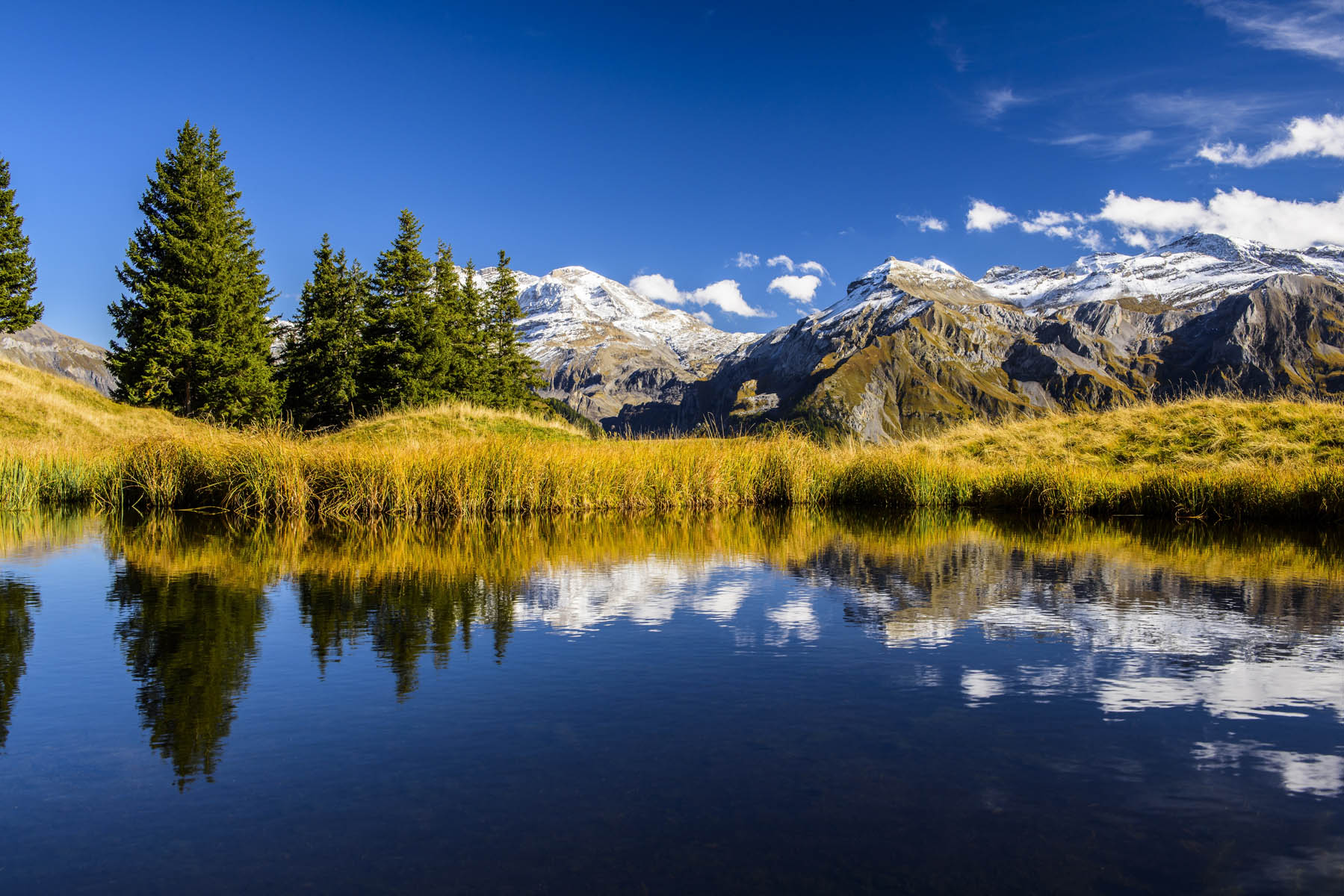 Lenk-Simmental Tourismus - I Like Switzerland