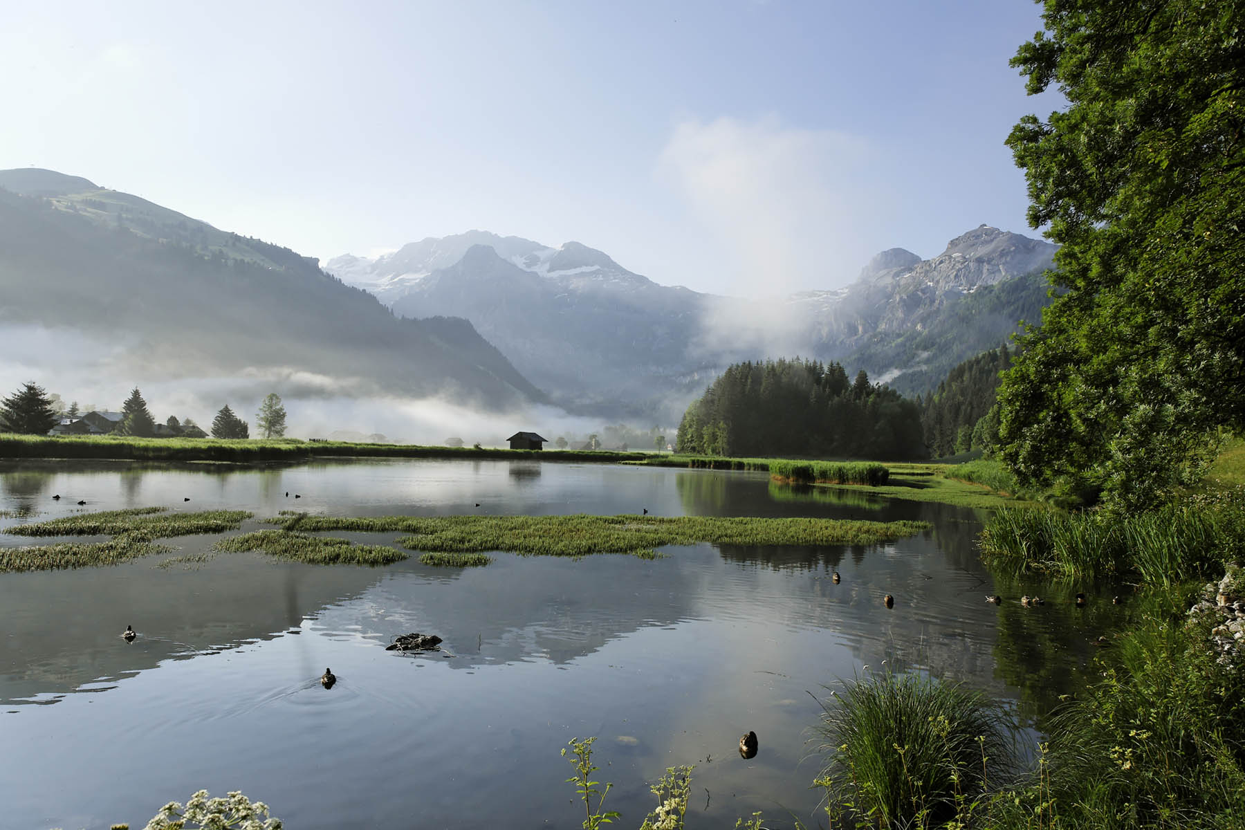 Lenk-Simmental Tourismus - I Like Switzerland
