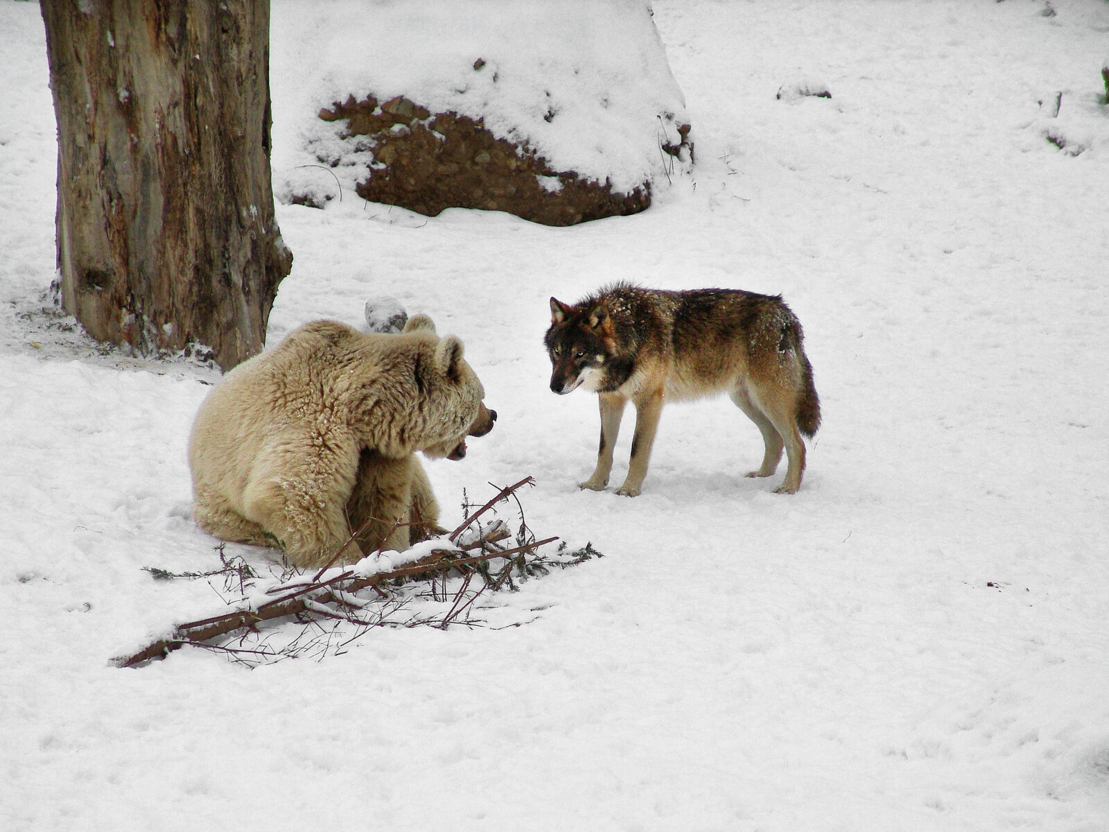 Natur und Tierpark Goldau - I Like Switzerland