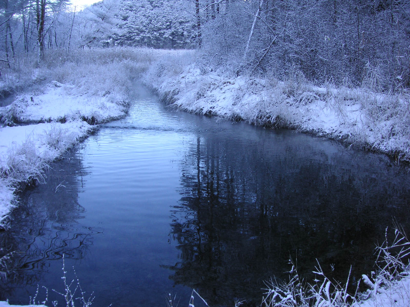 Naturpark Pfyn-Finges - I Like Switzerland