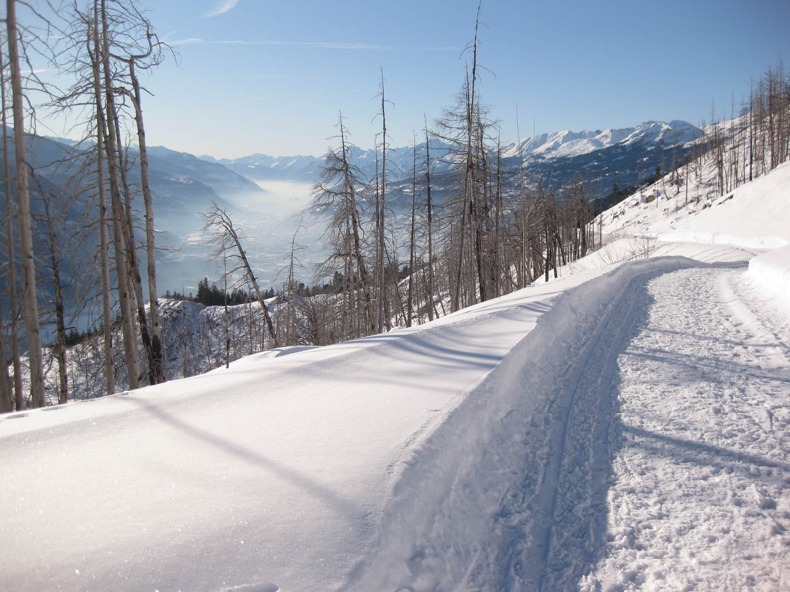 Naturpark Pfyn-Finges - I Like Switzerland