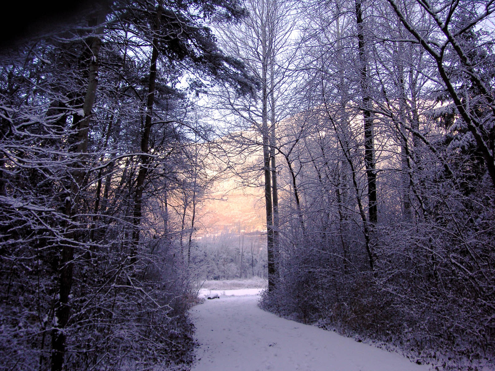 Naturpark Pfyn-Finges - I Like Switzerland
