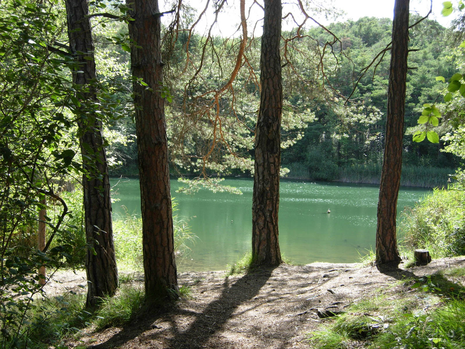Naturpark Pfyn-Finges - I Like Switzerland