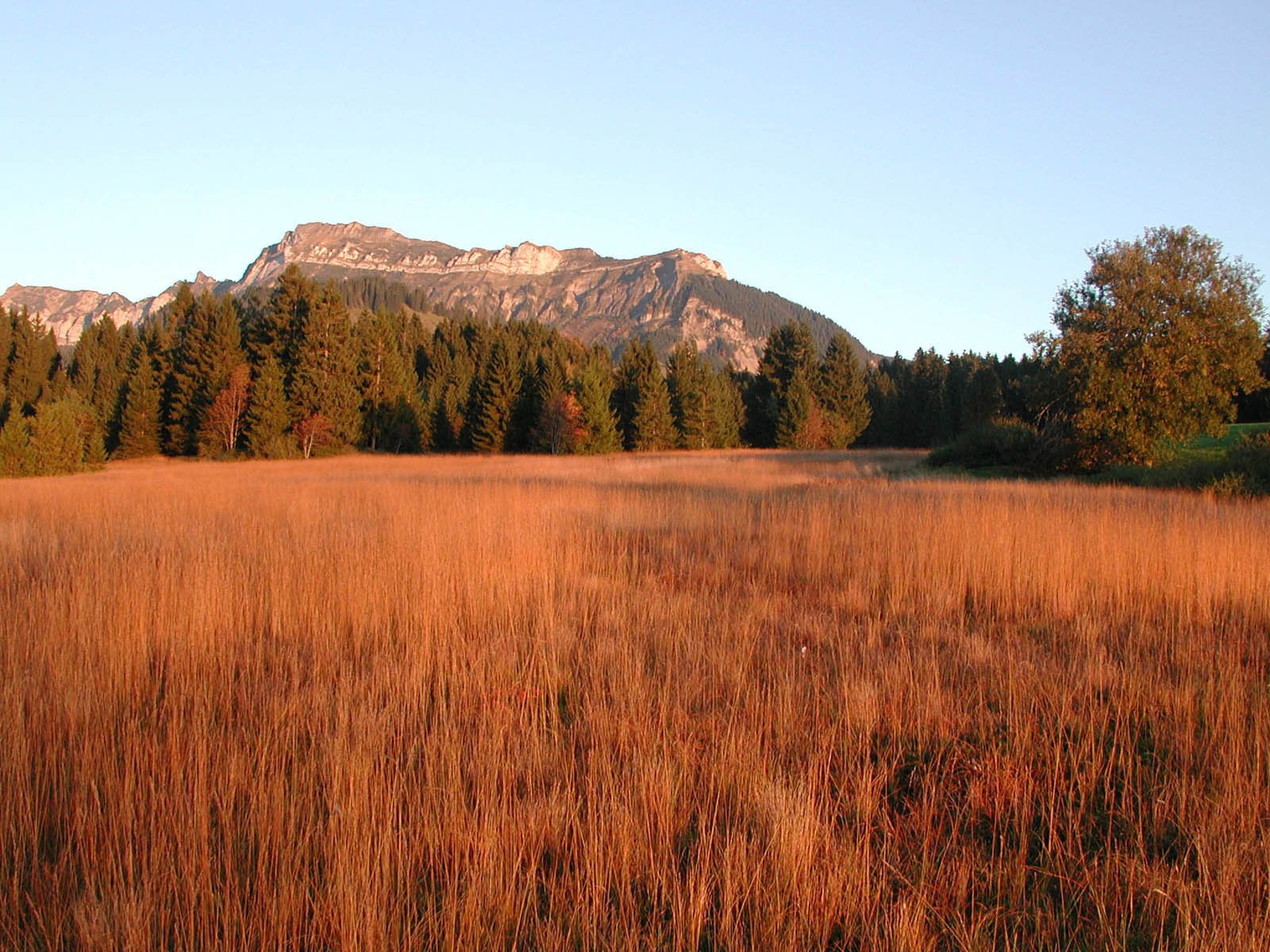 UNESCO Biosphäre Entlebuch - I Like Switzerland