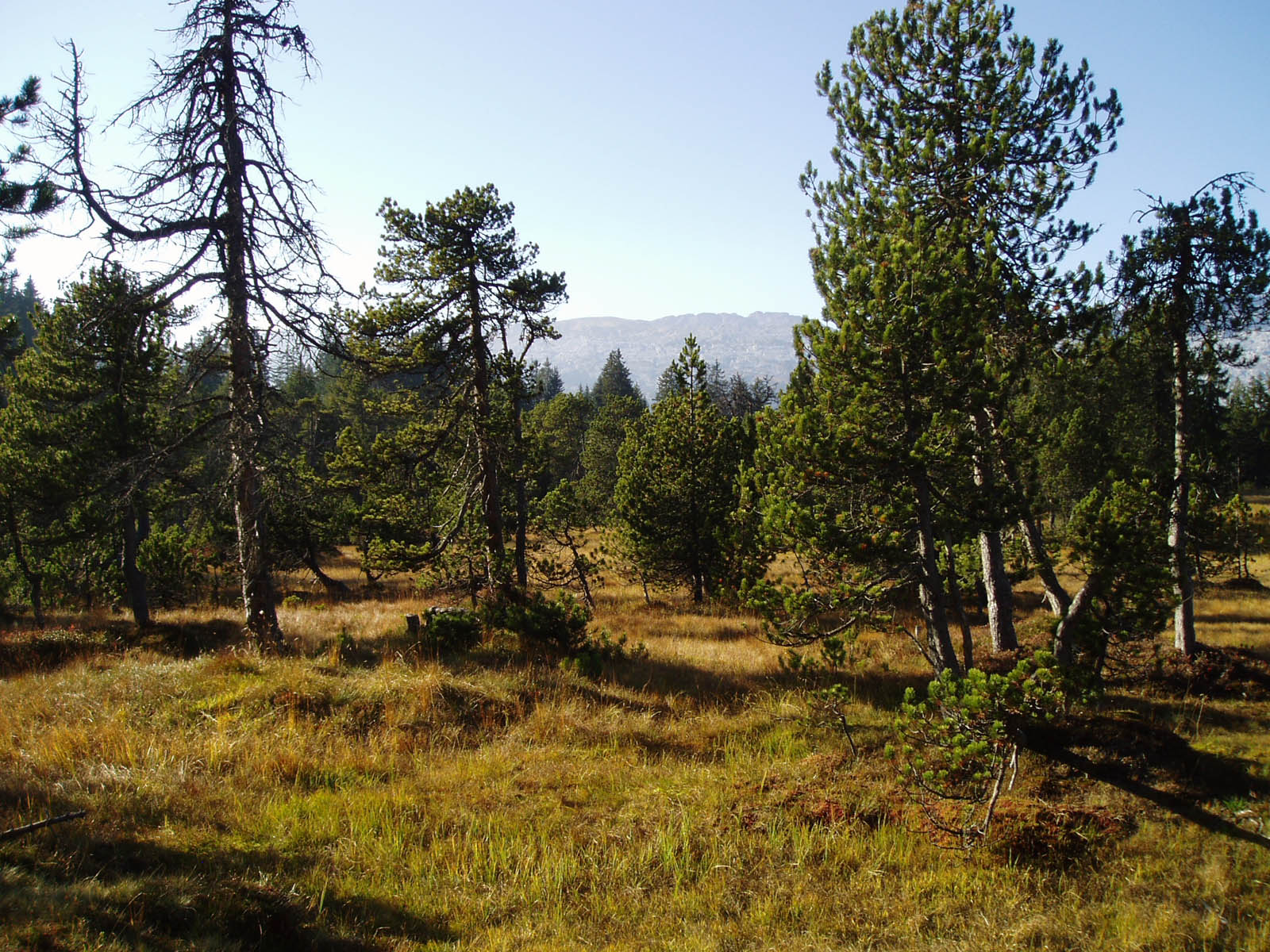 UNESCO Biosphäre Entlebuch - I Like Switzerland