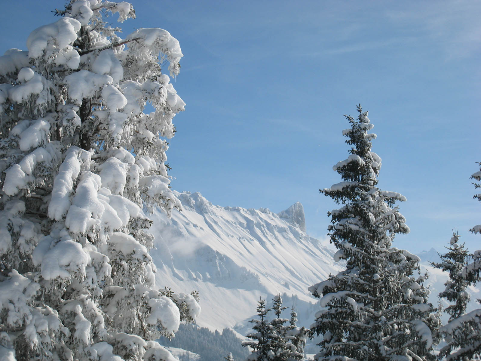 UNESCO Biosphäre Entlebuch - I Like Switzerland
