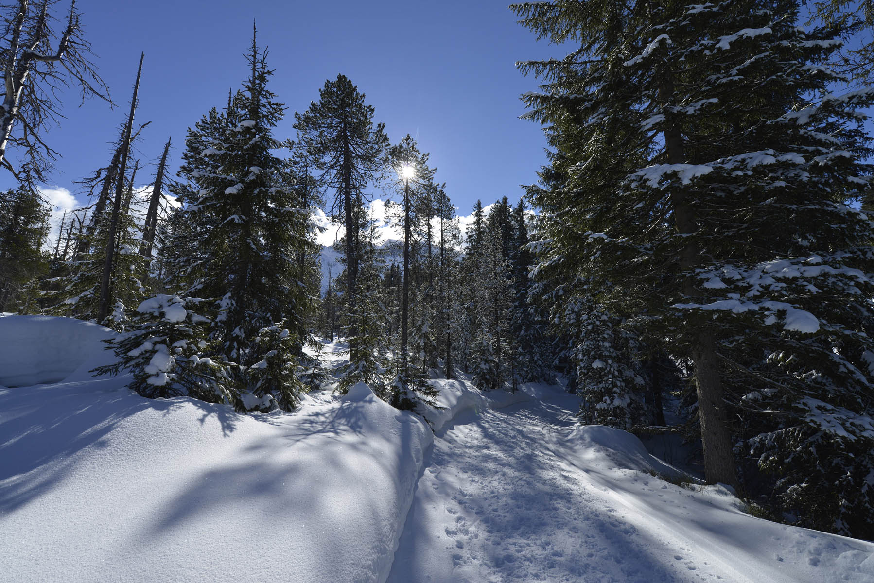 UNESCO Biosphäre Entlebuch - I Like Switzerland