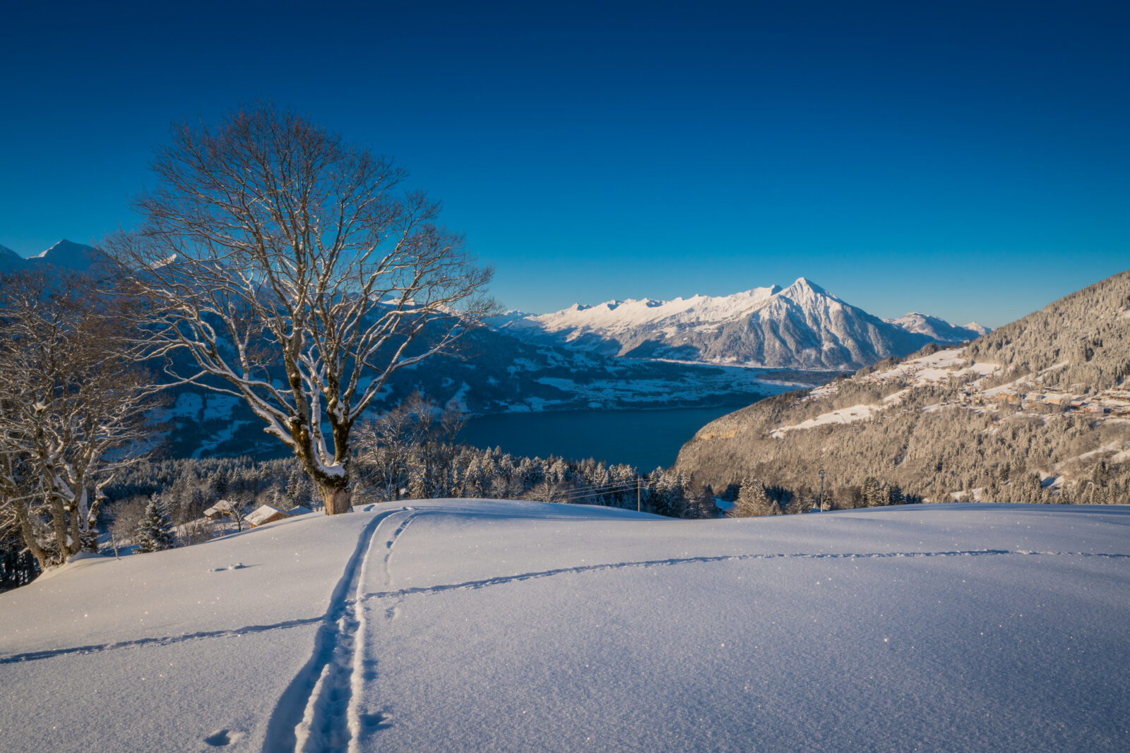 Beatenberg Tourismus - I Like Switzerland